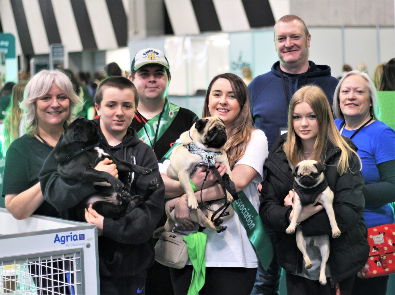 The Pug Dog Welfare & Rescue Association | 50 Years Rescuing & Rehoming ...